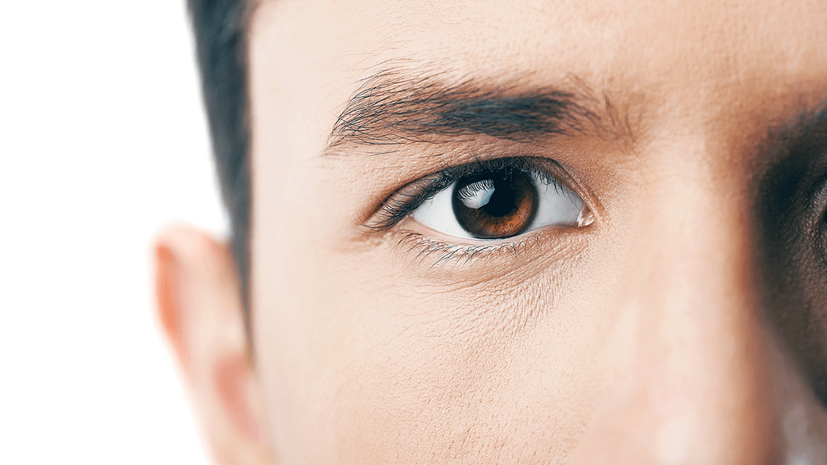 Eyebrow Hair Transplant - All you need to know 2023